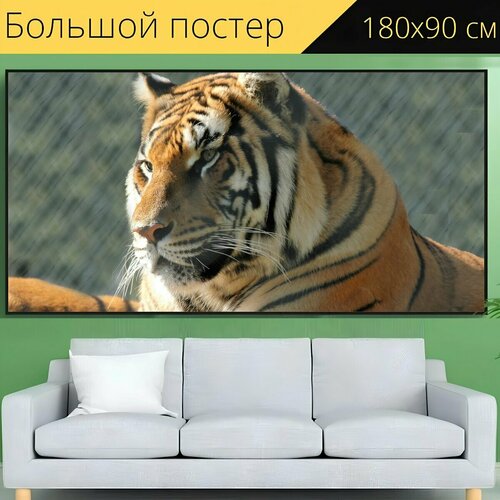 Большой постер "Тигр, животное, хищник" 180 x 90 см. для интерьера