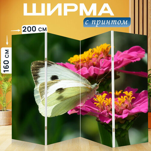 Ширма перегородка с принтом "Бабочка, насекомое, цветы" на холсте - 200x160 см. для зонирования, раскладная