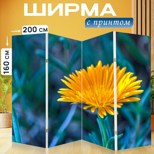 Ширма перегородка с принтом "Цветок, желтый, природа" на холсте - 200x160 см. для зонирования, раскладная