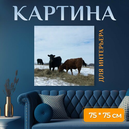 Картина на холсте "Коровы, ферма, зима" на подрамнике 75х75 см. для интерьера