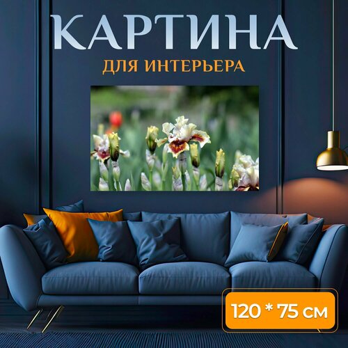 Картина на холсте "Ирисы, цветы, весенний" на подрамнике 120х75 см. для интерьера