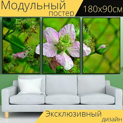 Модульный постер "Ежевика, цветок, весна" 180 x 90 см. для интерьера
