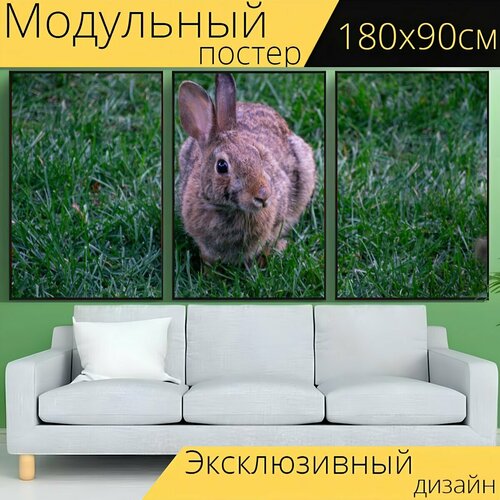 Модульный постер "Кролик, животное, дикий кролик" 180 x 90 см. для интерьера