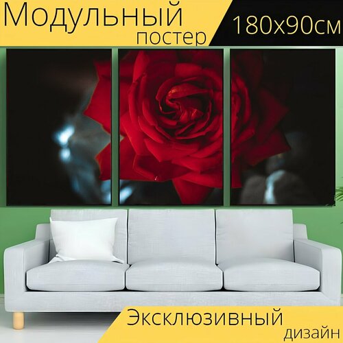 Модульный постер "Роза, лилия, хризантема" 180 x 90 см. для интерьера