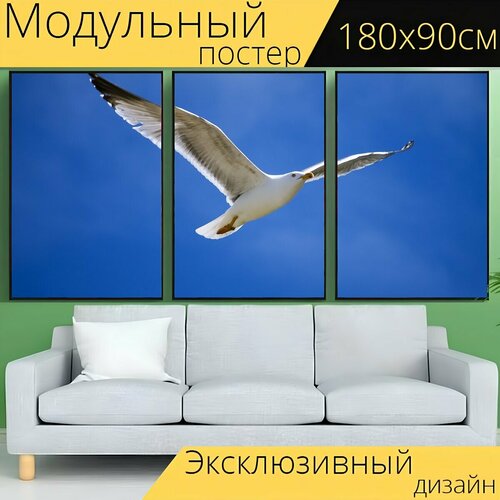 Модульный постер "Птицы, природа, чайка" 180 x 90 см. для интерьера
