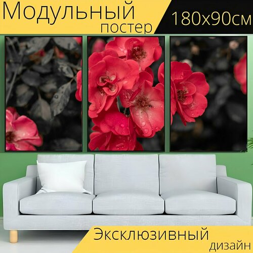 Модульный постер "Красные цветки, роса, растения" 180 x 90 см. для интерьера