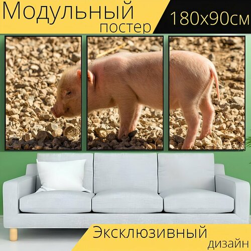 Модульный постер "Поросенок, свинья, фермерский двор" 180 x 90 см. для интерьера