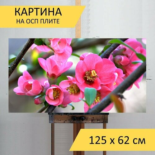 Картина на ОСП 125х62 см. "Хеномелес, цветок, розовый" горизонтальная, для интерьера, с креплениями