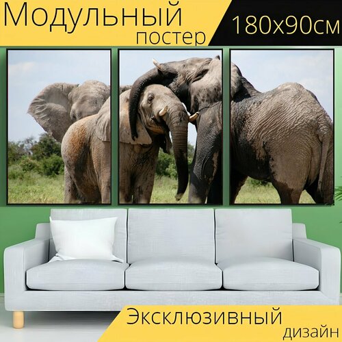 Модульный постер "Слоны, бивни, сундуки" 180 x 90 см. для интерьера