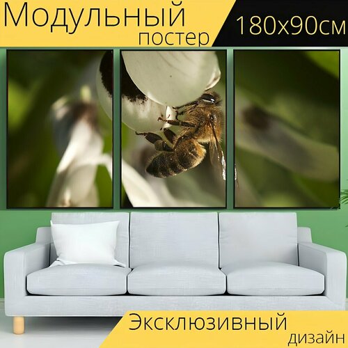 Модульный постер "Белый, пчела, насекомые" 180 x 90 см. для интерьера