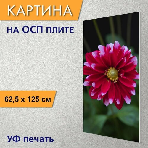 Вертикальная картина на ОСП "Цветы, природа, цветок" 62x125 см. для интерьериа