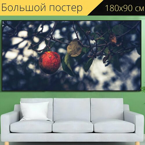 Большой постер "Яблоко, фрукты, филиал" 180 x 90 см. для интерьера