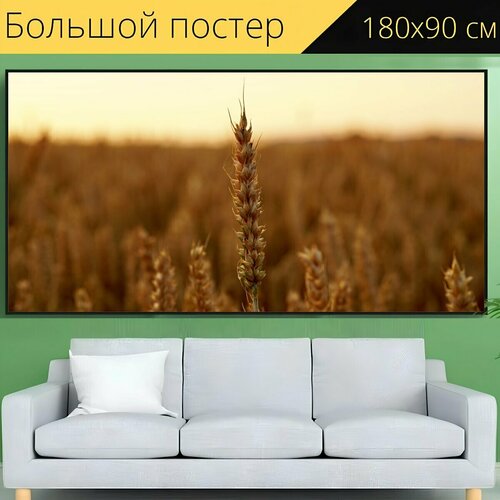 Большой постер "Зерно, пшеница, природа" 180 x 90 см. для интерьера