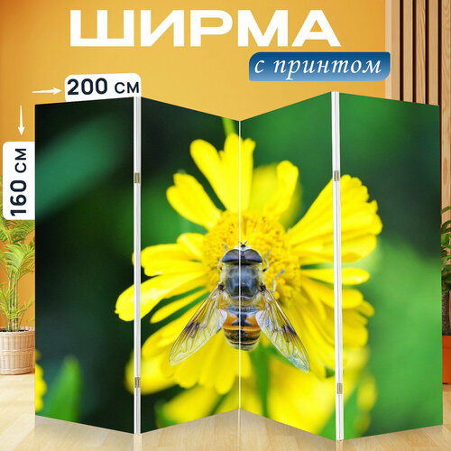 Ширма перегородка с принтом "Цветок, природа, желтый" на холсте - 200x160 см. для зонирования, раскладная