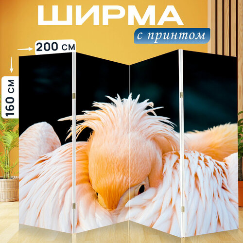 Ширма перегородка с принтом "Пеликан, птица, природа" на холсте - 200x160 см. для зонирования, раскладная
