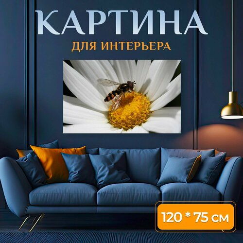 Картина на холсте "Журчалки, цветочная муха, сирфидная муха" на подрамнике 120х75 см. для интерьера