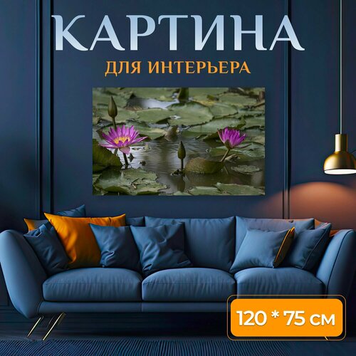 Картина на холсте "Водяные лилии, пруд, лилии" на подрамнике 120х75 см. для интерьера