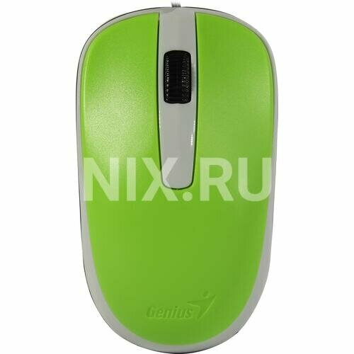 Мышь Genius Mouse DX-120