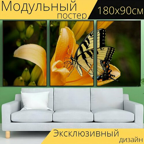 Модульный постер "Бабочка, насекомое, сад" 180 x 90 см. для интерьера