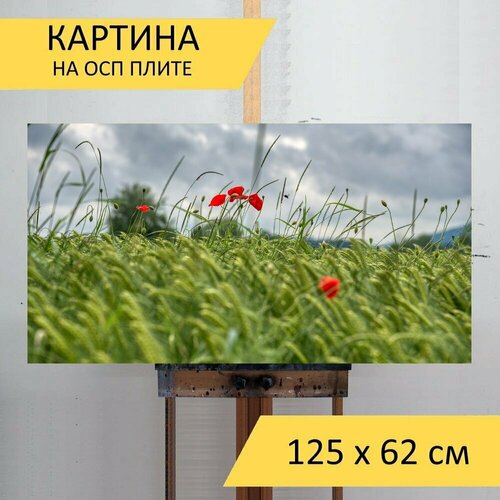 Картина на ОСП 125х62 см. "Пшеничное поле, травы, маки" горизонтальная, для интерьера, с креплениями