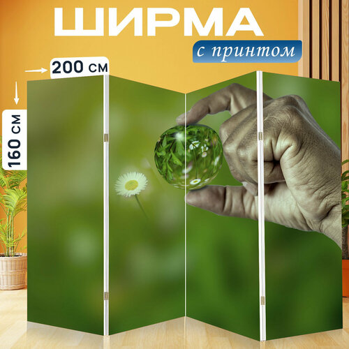 Ширма перегородка с принтом "Хрустальный шар, цветок, эффект" на холсте - 200x160 см. для зонирования, раскладная