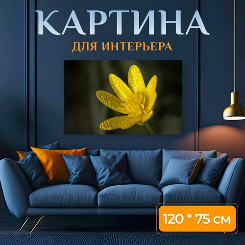 Картина на холсте "Чистотел, желтый, цветок" на подрамнике 120х75 см. для интерьера