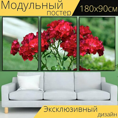 Модульный постер "Цветы, розы, красные лепестки" 180 x 90 см. для интерьера