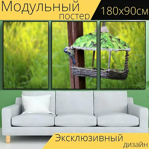 Модульный постер "Лазоревка, гнездовой материал, шерстяные нити" 180 x 90 см. для интерьера