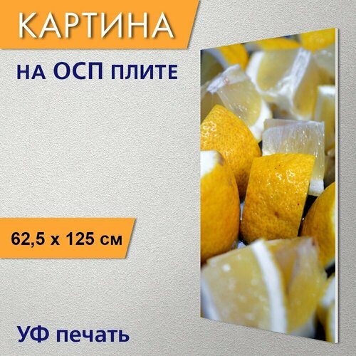 Вертикальная картина на ОСП "Лимон, фрукты, свежий" 62x125 см. для интерьериа