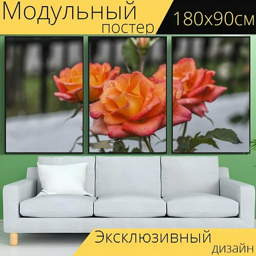 Модульный постер "Роза, цветок, белла" 180 x 90 см. для интерьера