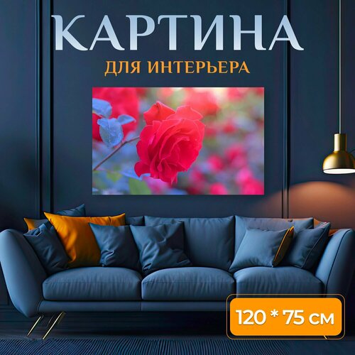 Картина на холсте "Красная роза, роза, цветок" на подрамнике 120х75 см. для интерьера