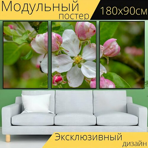 Модульный постер "Яблоневый цвет, цвести, цветок" 180 x 90 см. для интерьера