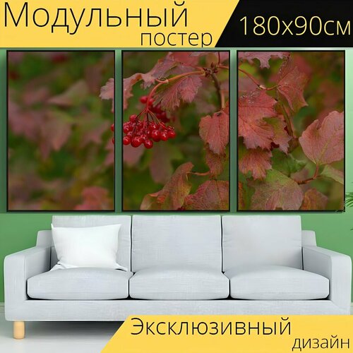 Модульный постер "Калина, осень, ягоды" 180 x 90 см. для интерьера