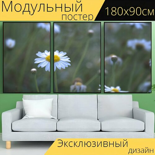 Модульный постер "Ромашка, цветок, поле" 180 x 90 см. для интерьера