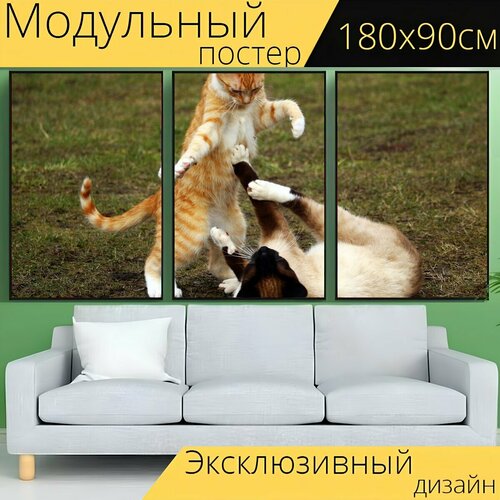 Модульный постер "Кот, красный полосатый, котенок" 180 x 90 см. для интерьера