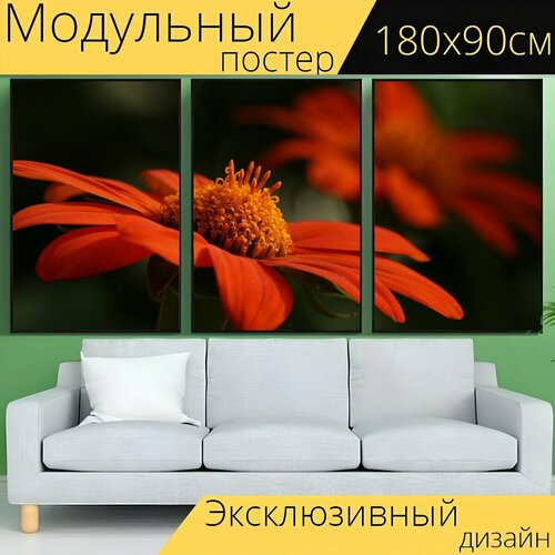 Модульный постер "Оранжевый цветок, цветок, лепестки" 180 x 90 см. для интерьера
