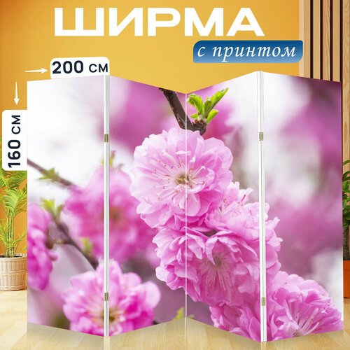 Ширма перегородка с принтом "Миндаль, цветы, розовый" на холсте - 200x160 см. для зонирования, раскладная