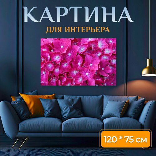 Картина на холсте "Цветы, цветы гортензии, лепестки" на подрамнике 120х75 см. для интерьера