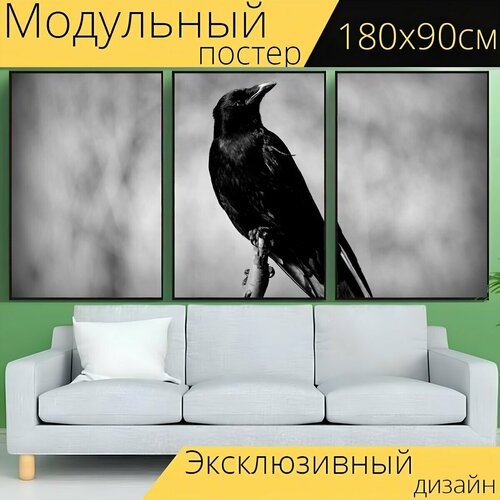 Модульный постер "Ворона, птица, ворон" 180 x 90 см. для интерьера
