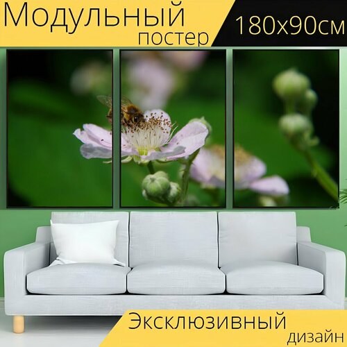 Модульный постер "Пчела, цветок, ежевика" 180 x 90 см. для интерьера