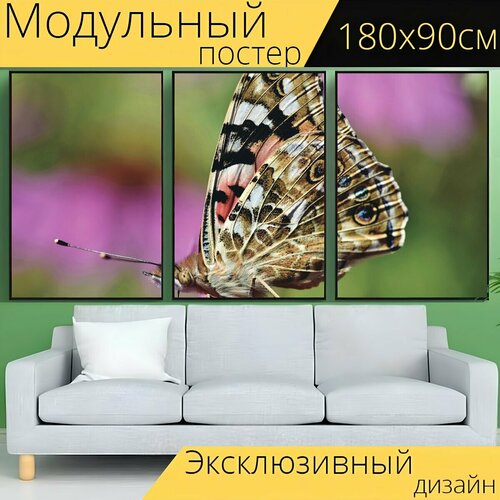 Модульный постер "Бабочка, бабочки, летающее насекомое" 180 x 90 см. для интерьера