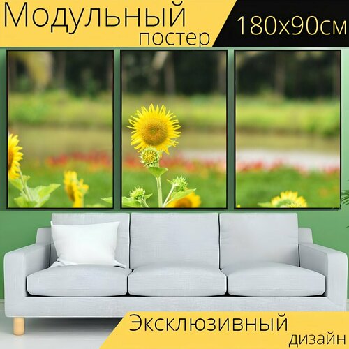 Модульный постер "Подсолнухи, желтые цветы, цветы" 180 x 90 см. для интерьера