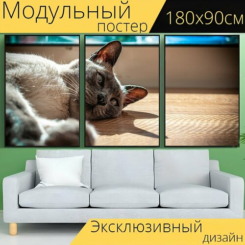 Модульный постер "Кот, мяу, талисман" 180 x 90 см. для интерьера