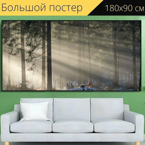 Большой постер "Лес, деревья, солнечные лучи" 180 x 90 см. для интерьера