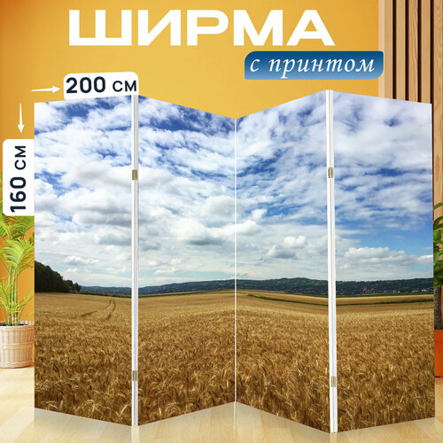 Ширма перегородка с принтом "Пшеница, урожай, сельское хозяйство" на холсте - 200x160 см. для зонирования, раскладная