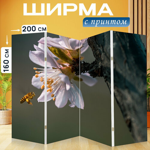 Ширма перегородка с принтом "Цветок, природа, флора" на холсте - 200x160 см. для зонирования, раскладная
