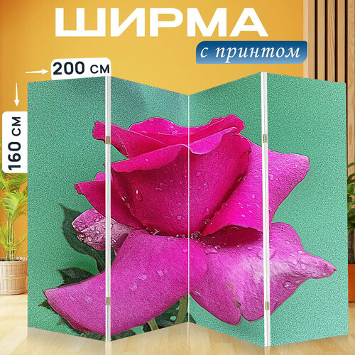 Ширма перегородка с принтом "Цветок, роза, цветок роза" на холсте - 200x160 см. для зонирования, раскладная
