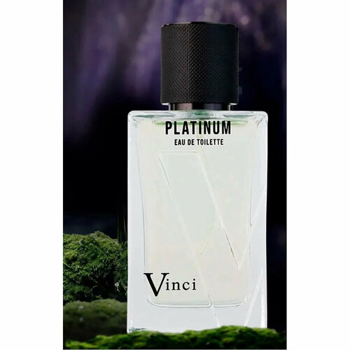 Delta Parfum Vinci Platinum туалетная вода 100 мл для мужчин