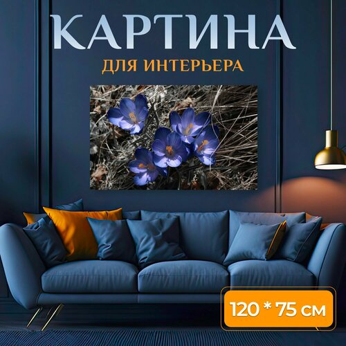 Картина на холсте "Синий, природа, цвести" на подрамнике 120х75 см. для интерьера