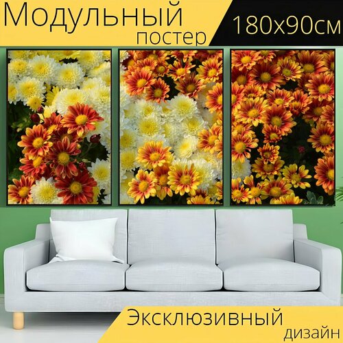 Модульный постер "Цветок, природа, трава" 180 x 90 см. для интерьера